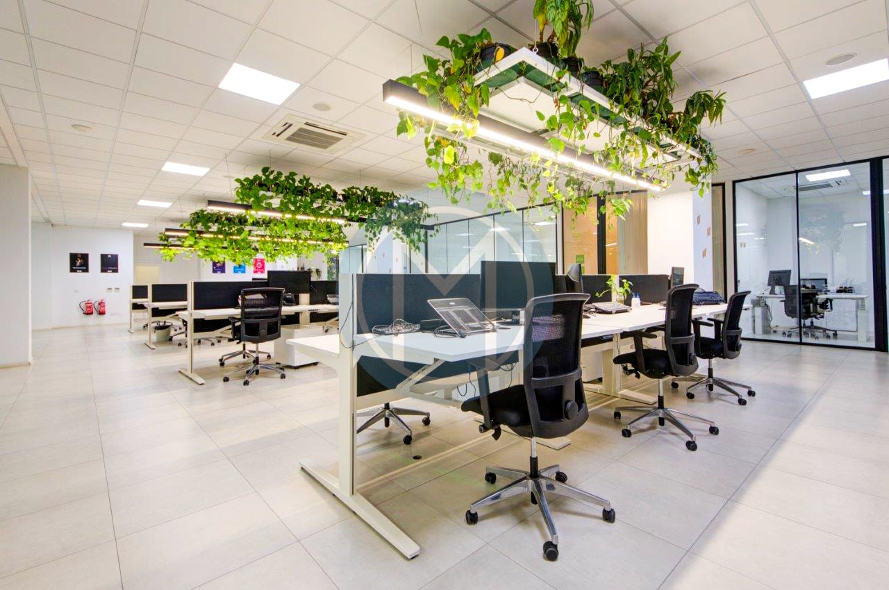 Swieqi Office - MaltaOffices.com